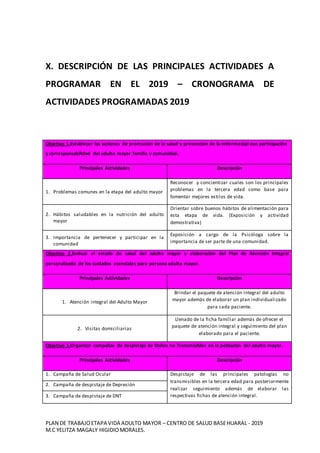 PLAN DE TRABAJO ADULTO MAYOR MR HUARAL | DOCX