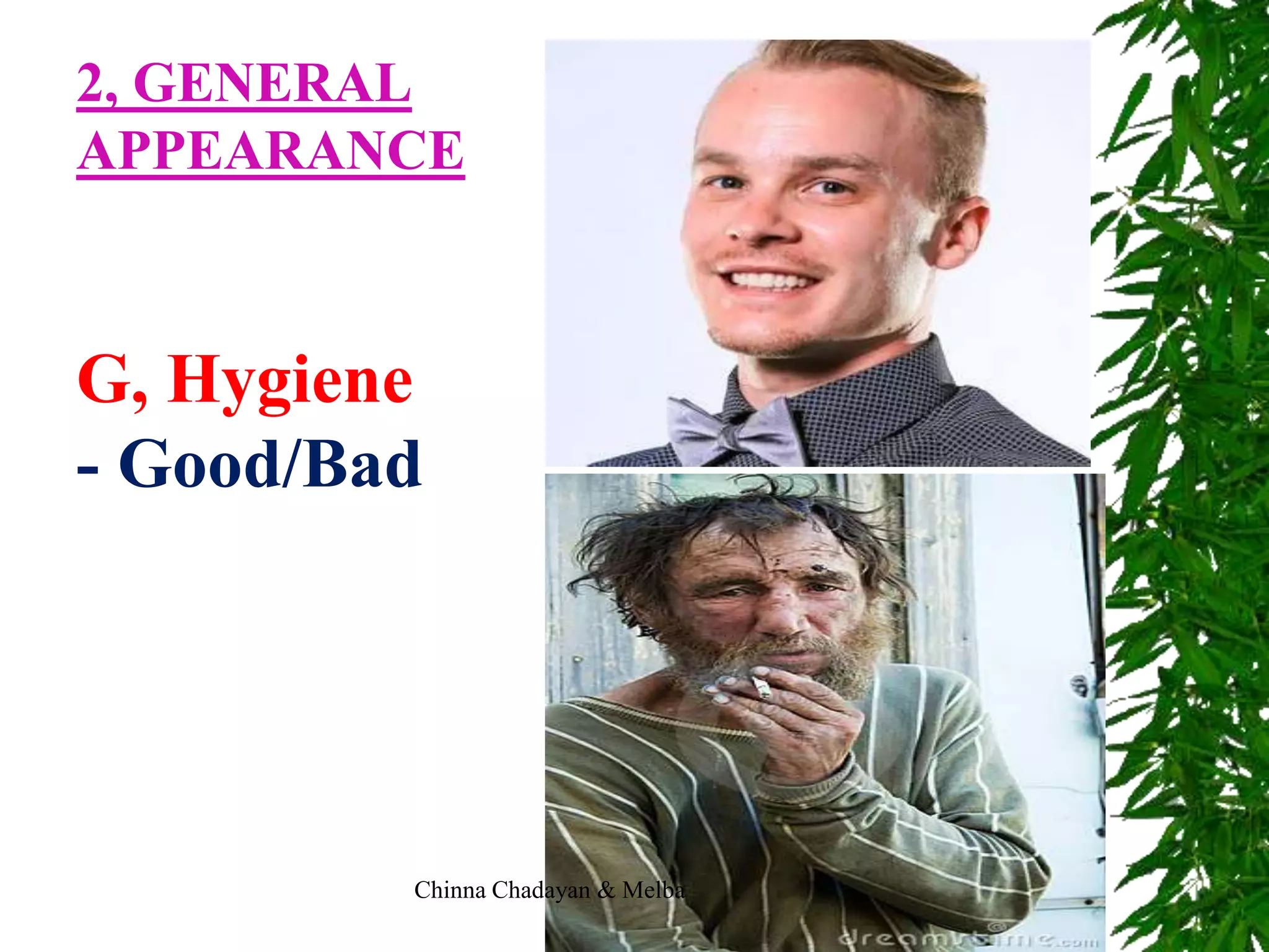 Adult physical assessment | PPT