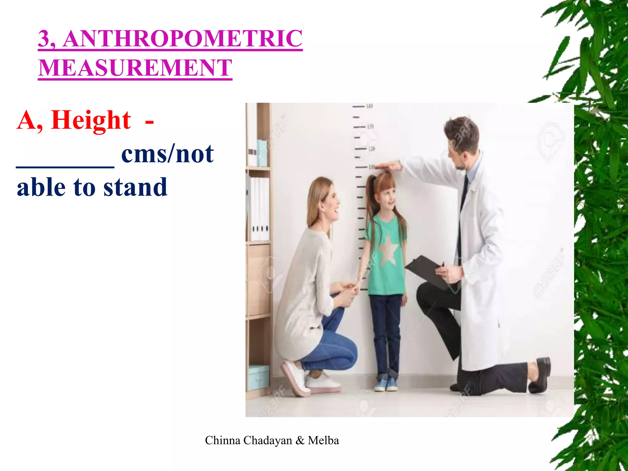 Adult physical assessment | PPT