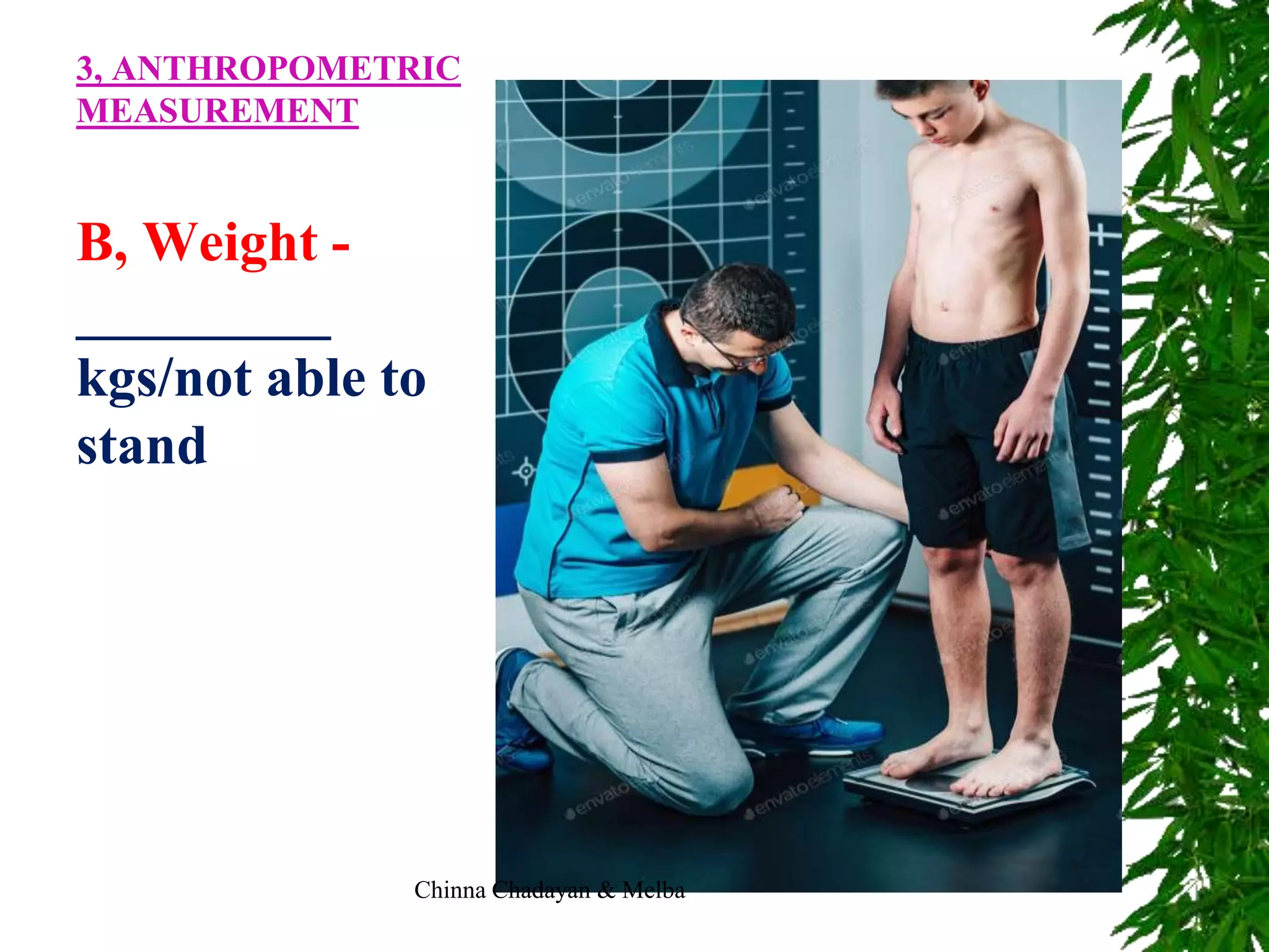 Adult physical assessment | PPT
