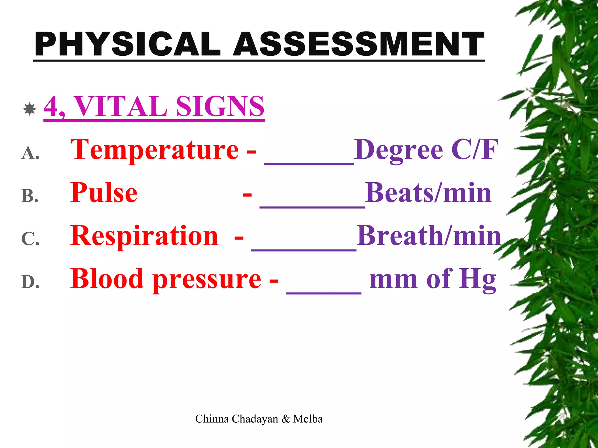 Adult physical assessment | PPT