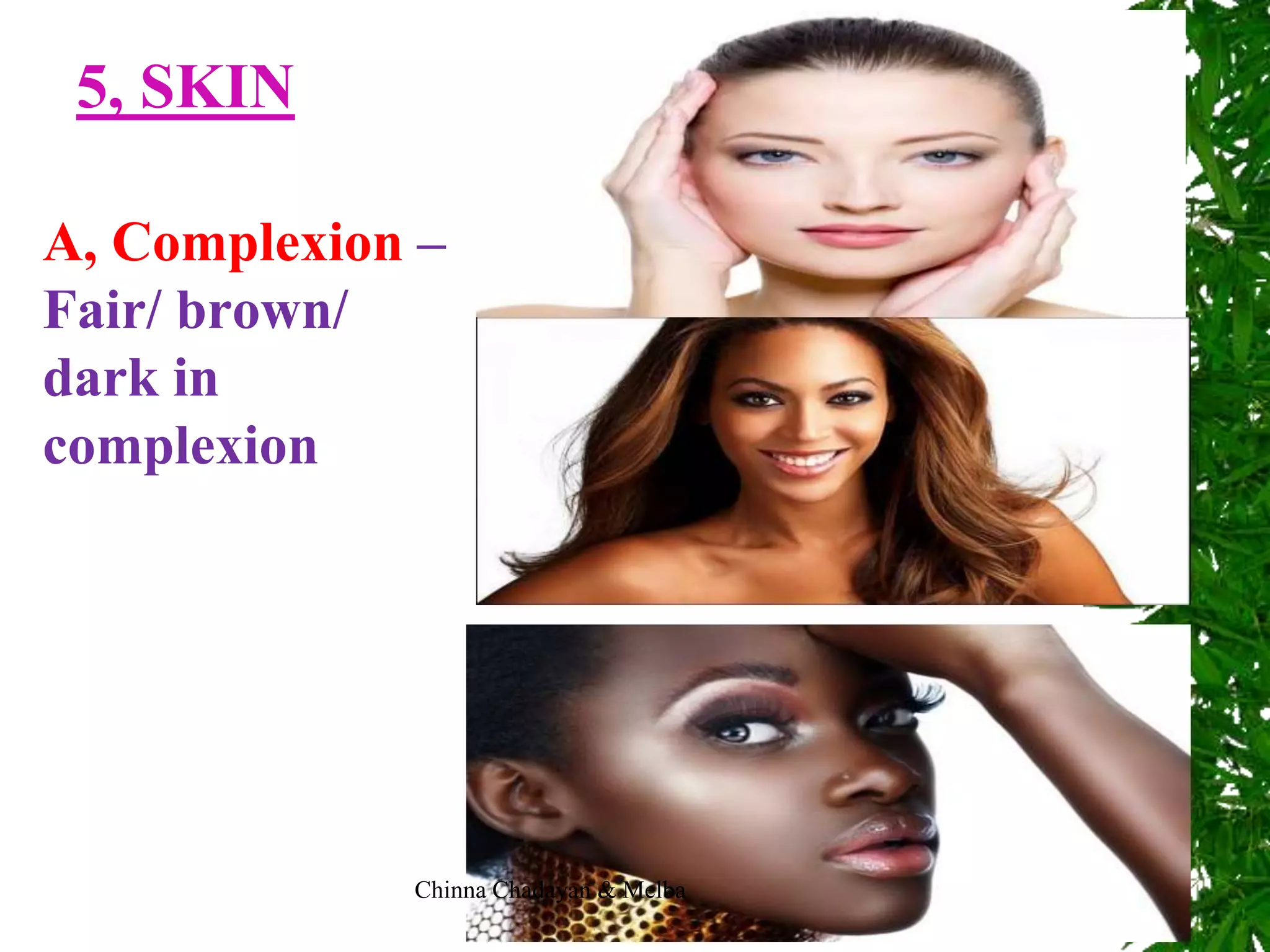 Adult physical assessment | PPT