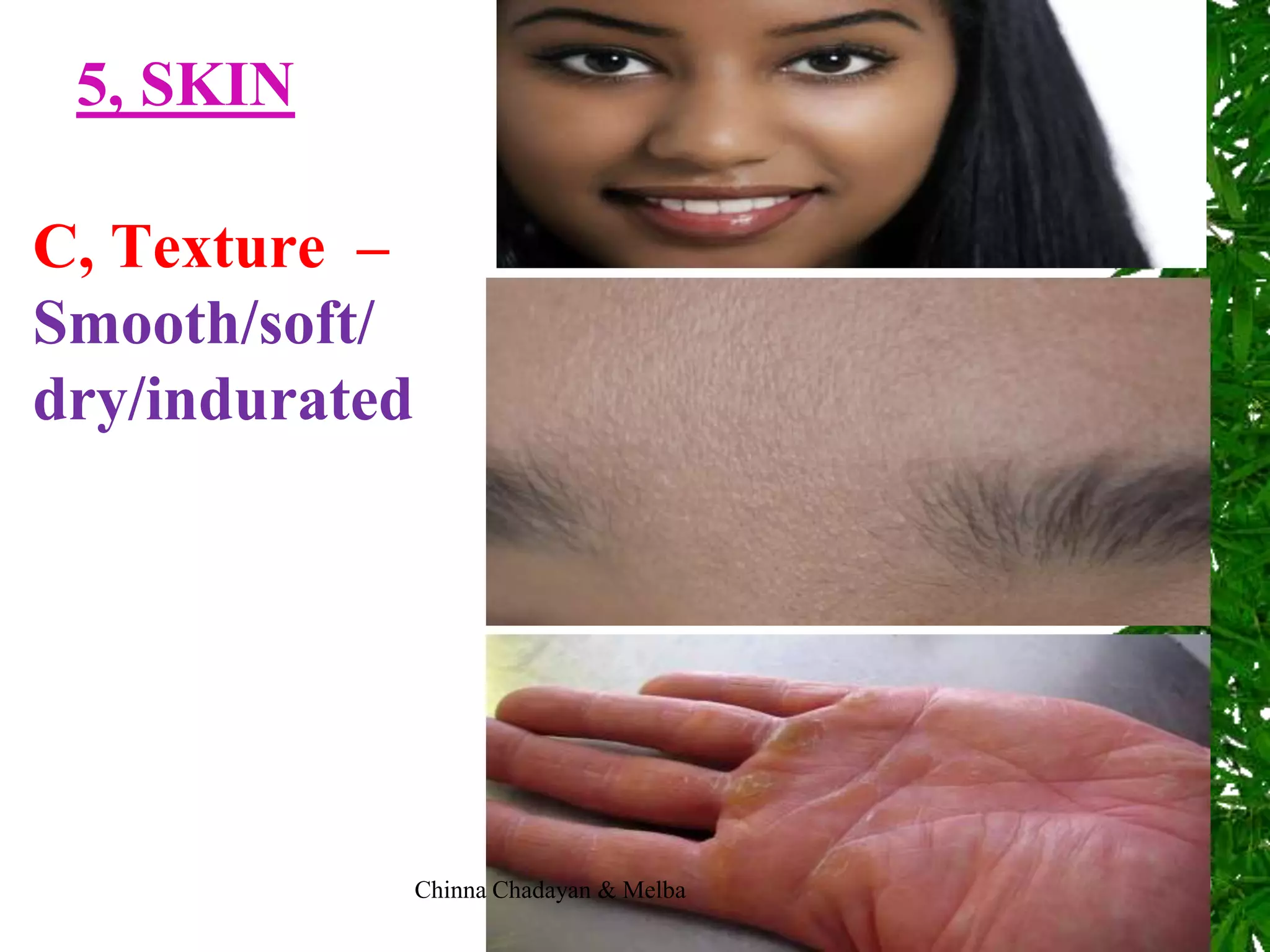 Adult physical assessment | PPT