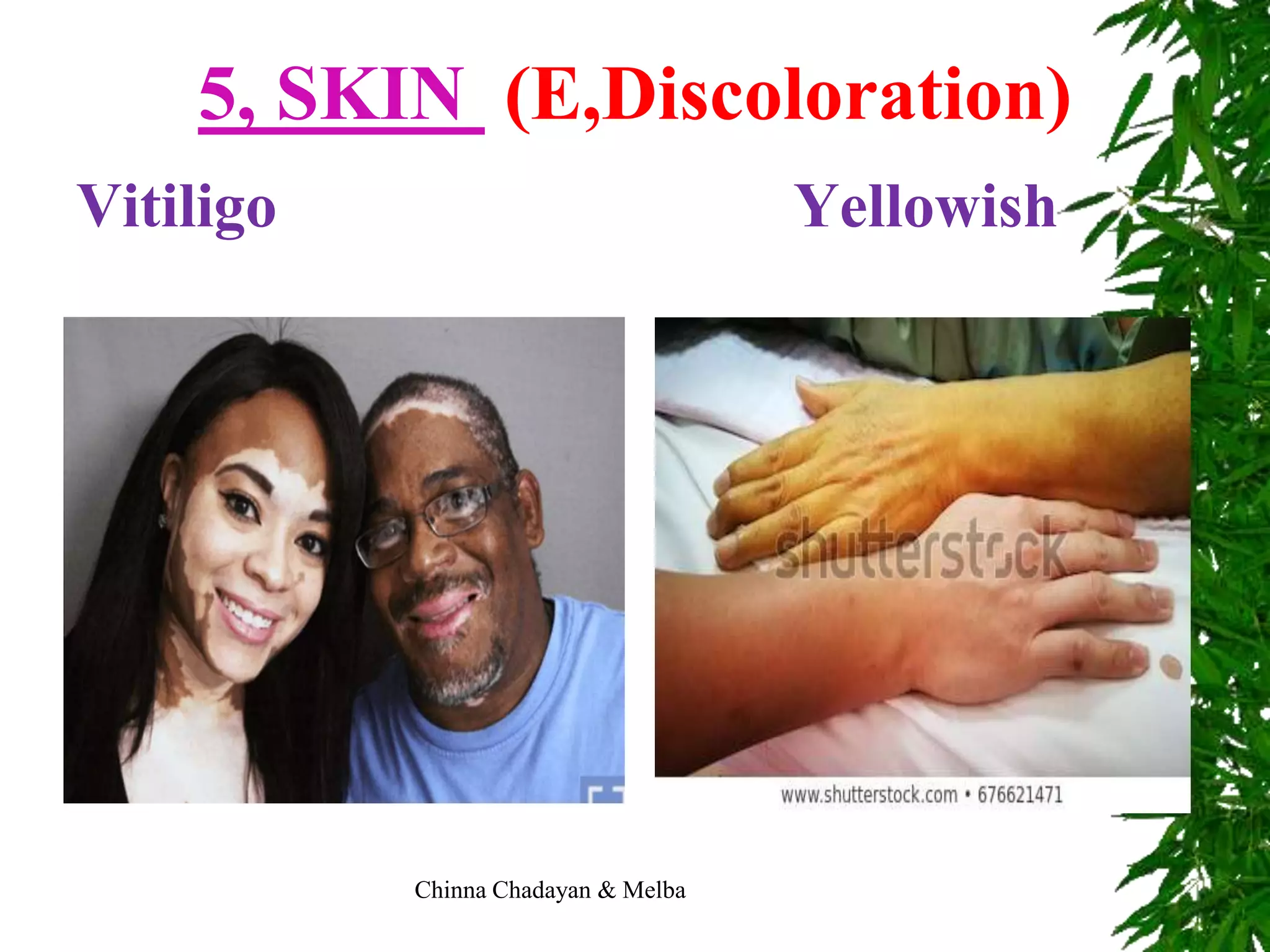 Adult physical assessment | PPT