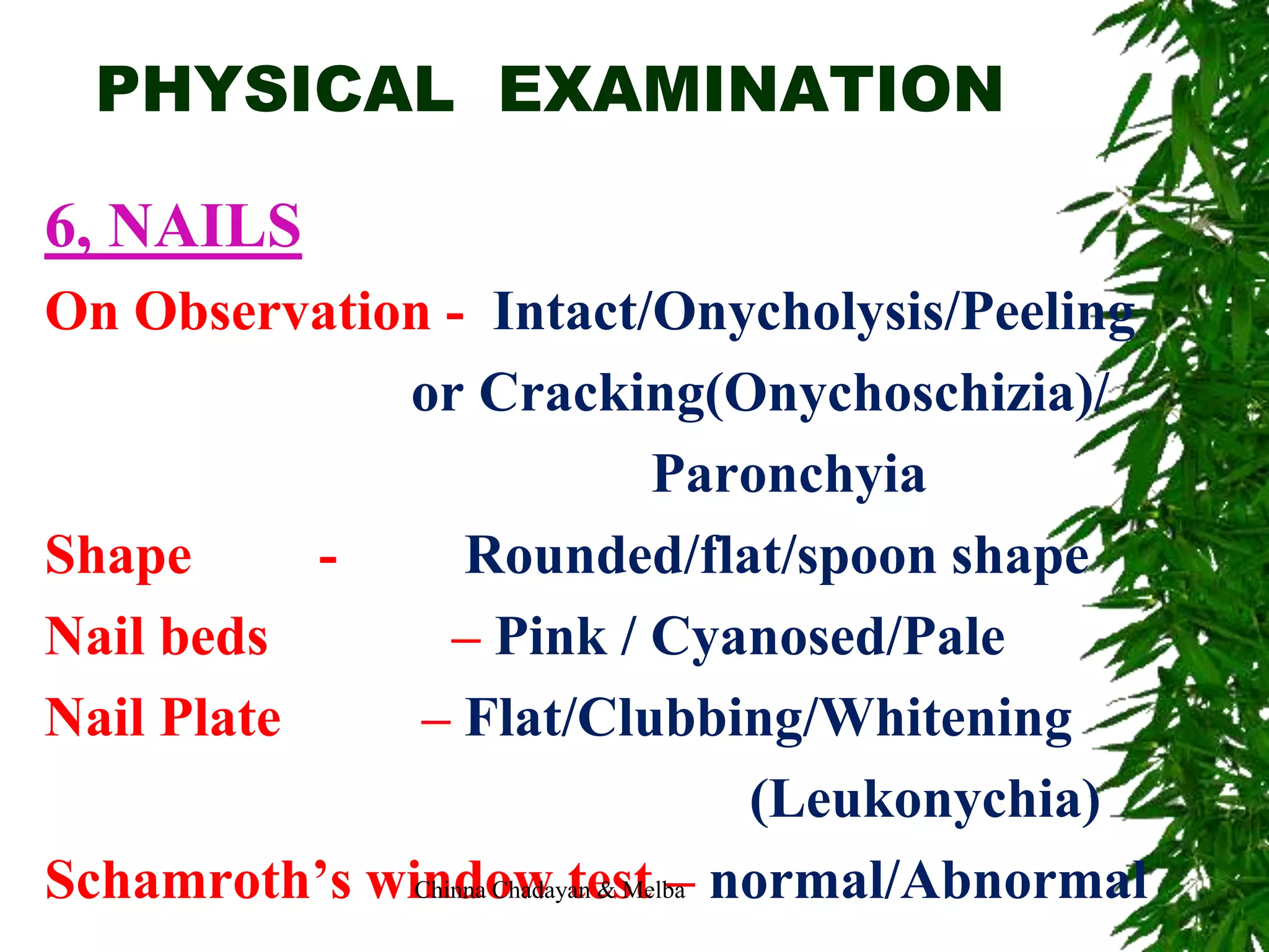 Adult physical assessment | PPT