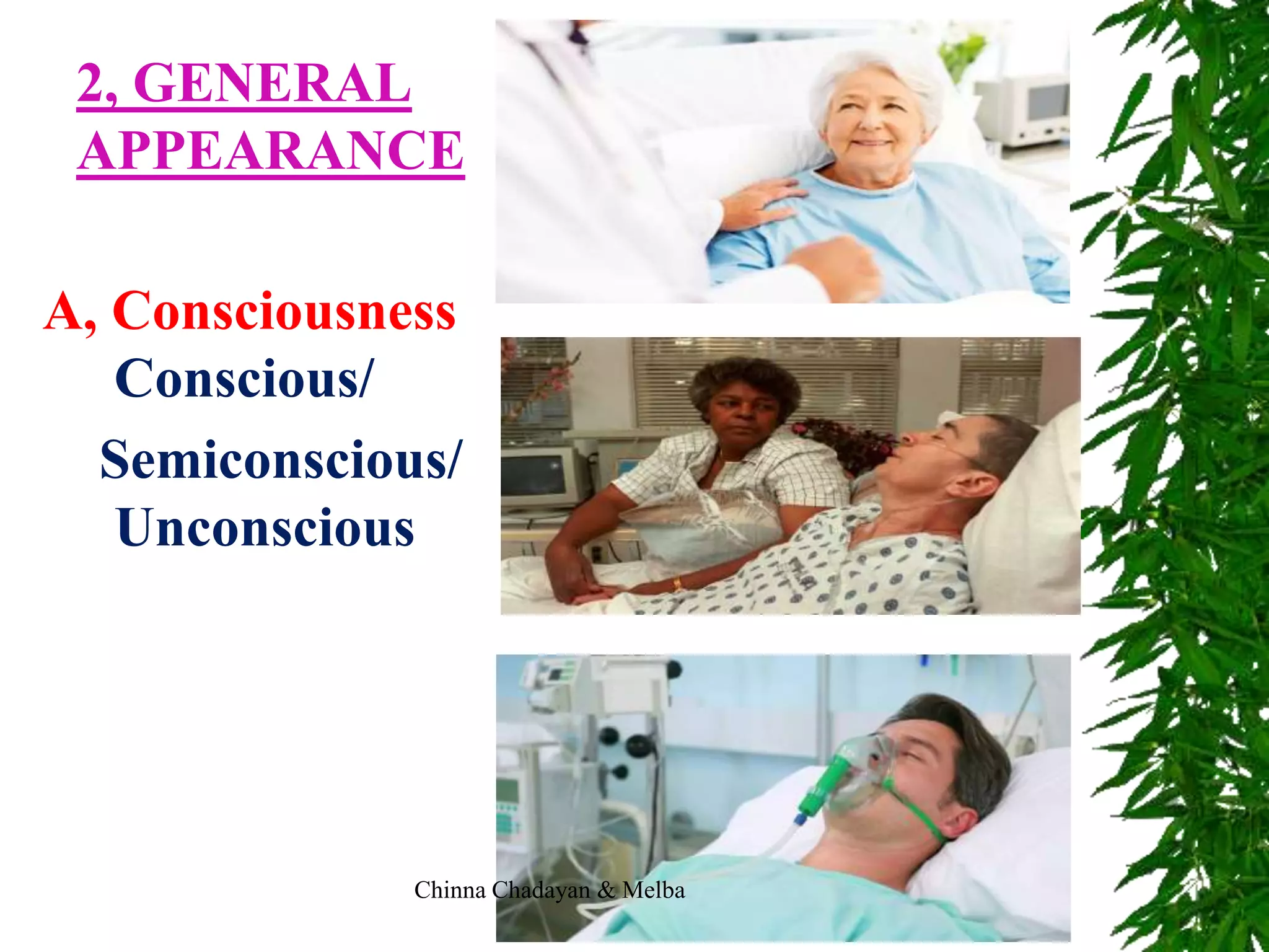 Adult physical assessment | PPT