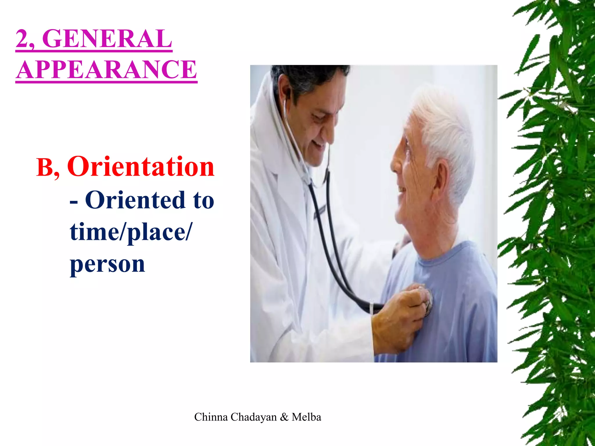 Adult physical assessment | PPT