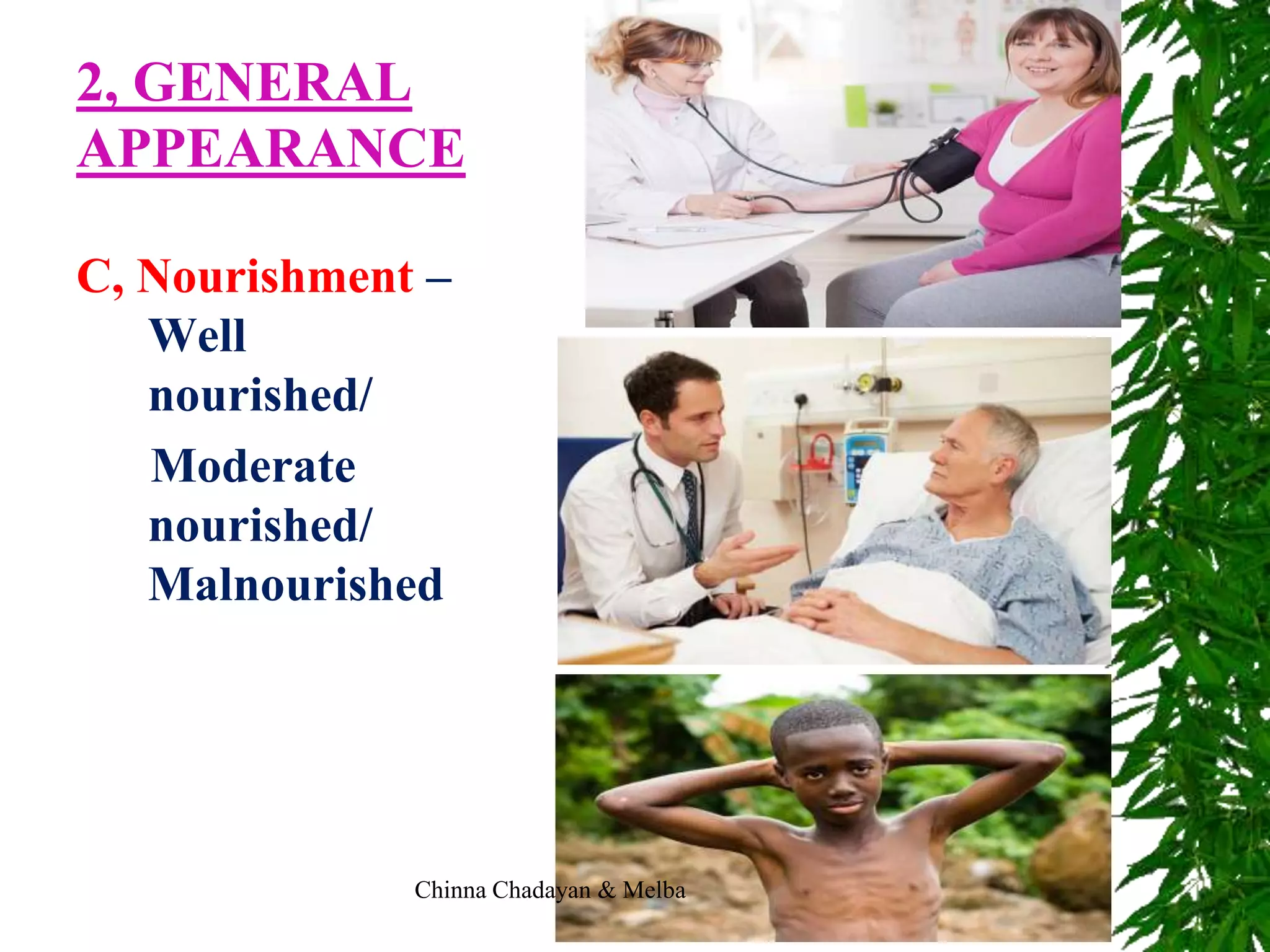 Adult physical assessment | PPT