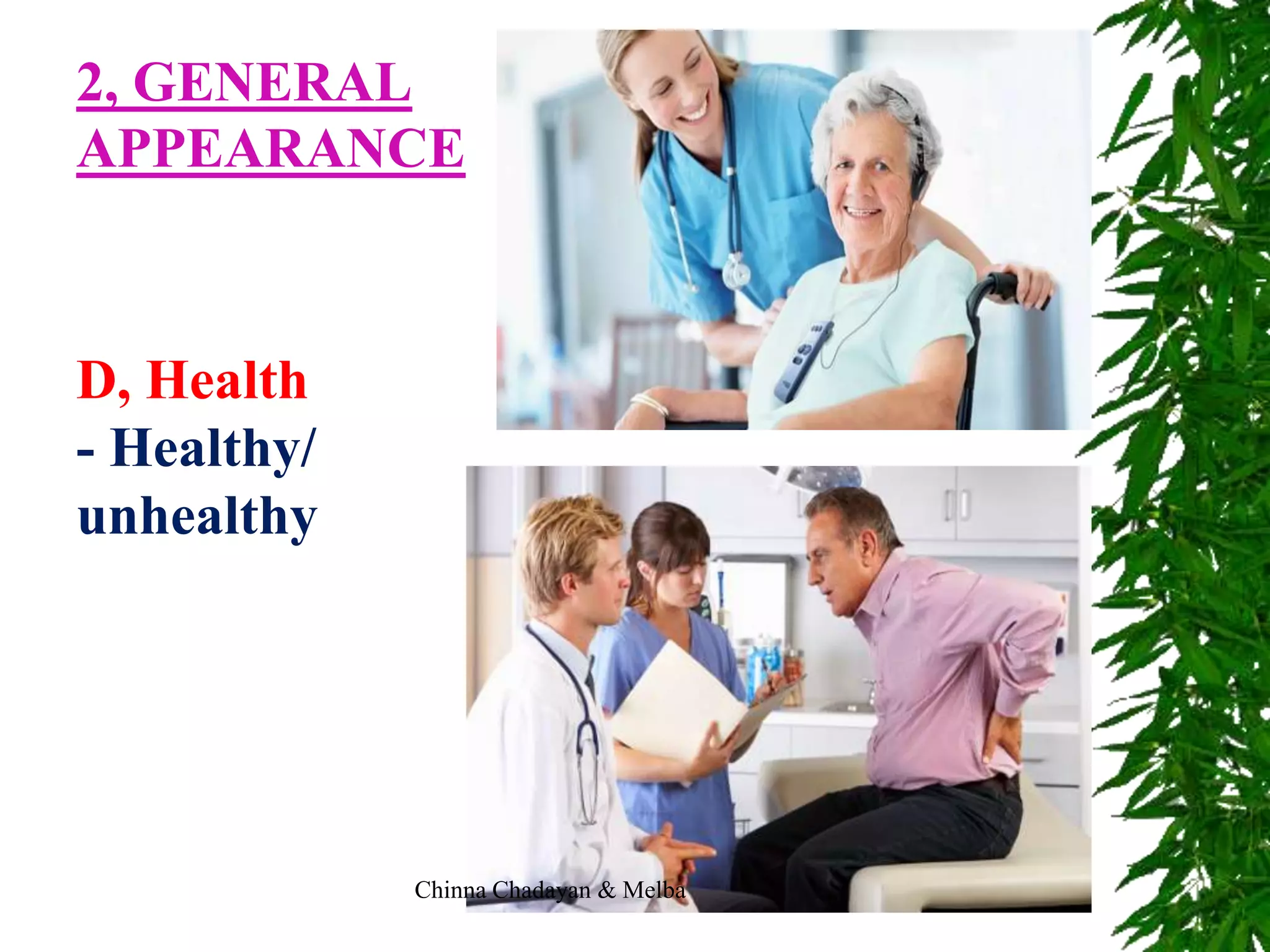 Adult physical assessment | PPT