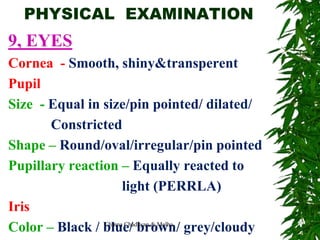 Adult physical assessment | PPT
