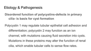 Adult polycystic kidney disease | PPTX
