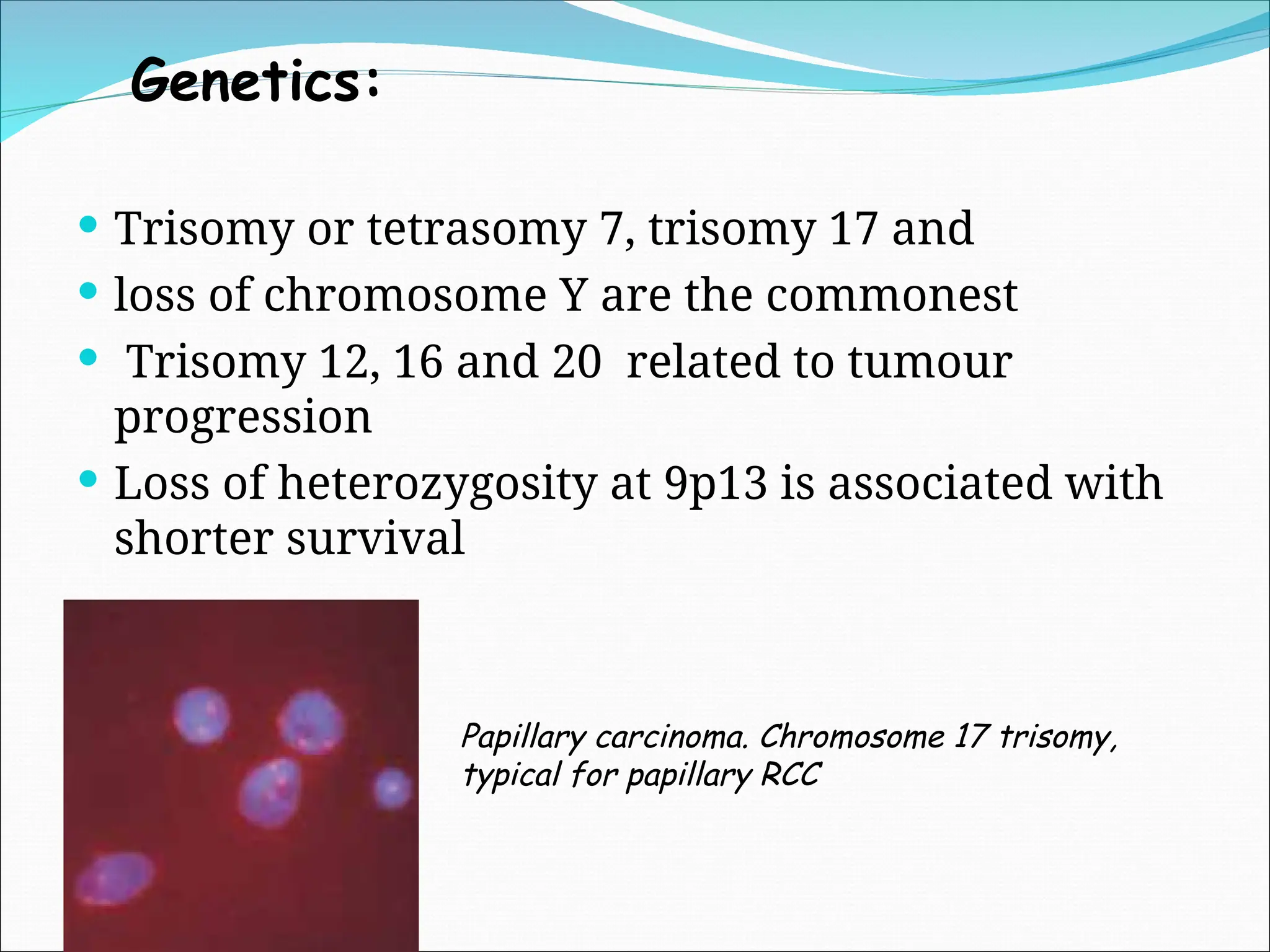 ADULT RENAL TUMORS OR RCC (PATHOLOGY PRESENTATION) | PPT