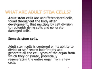 Adult stem cells | PPTX