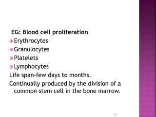 Adult stem cells | PPTX