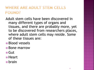 Adult stem cells | PPTX