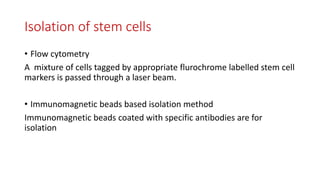 Adult stem cells.pptx
