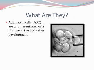 Adult stem cells emily block 3 | PPTX