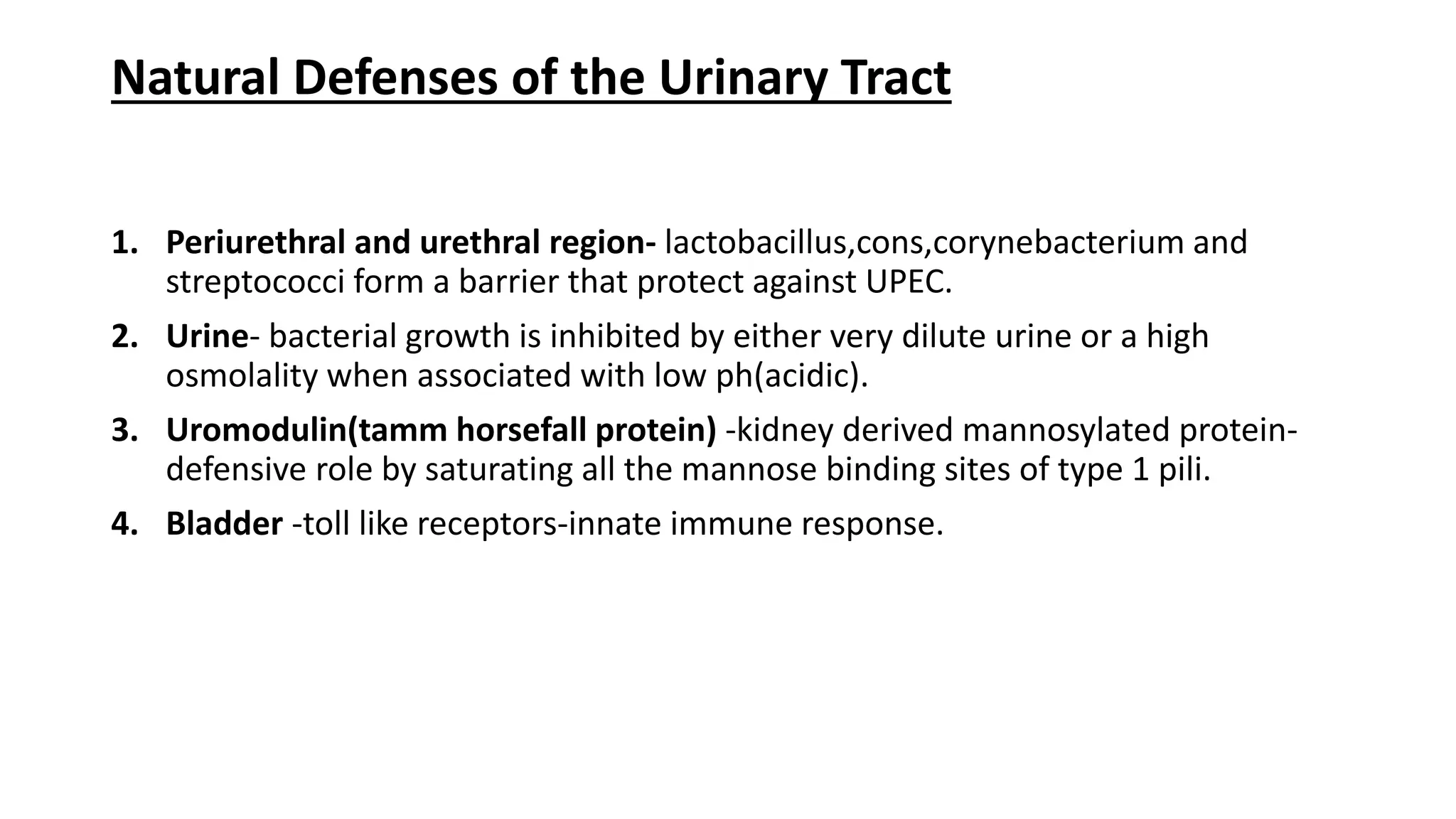 Adult urinary tract infections.pptx