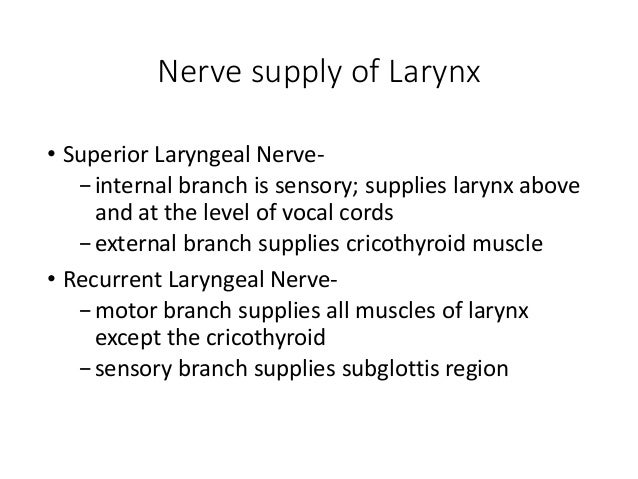 Adult vs. pediatric larynx, laryngeal nerve palsies and management | PPT