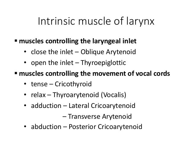 Adult vs. pediatric larynx, laryngeal nerve palsies and management | PPT