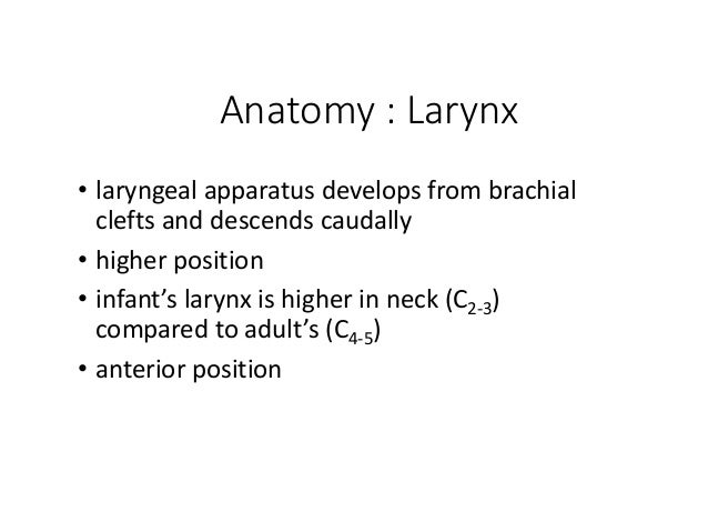 Adult vs. pediatric larynx, laryngeal nerve palsies and management | PPT