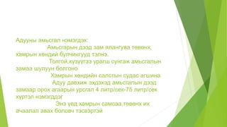 Aduuni amisgalin erhten | PPTX