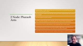 Adv. Ant Control PDF.pdf