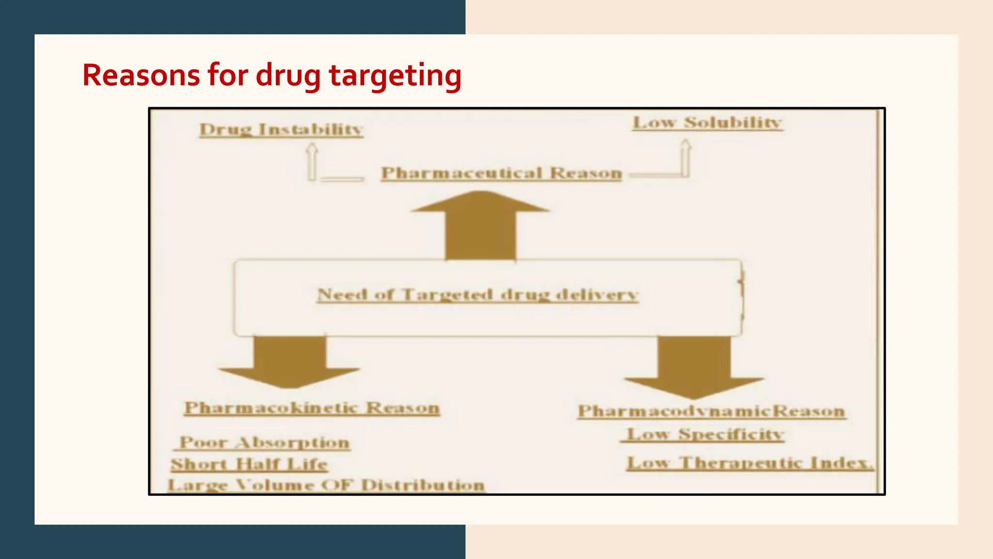 Adv. biopharm. APPLICATION OF PHARMACOKINETICS : TARGETED DRUG DELIVERY ...