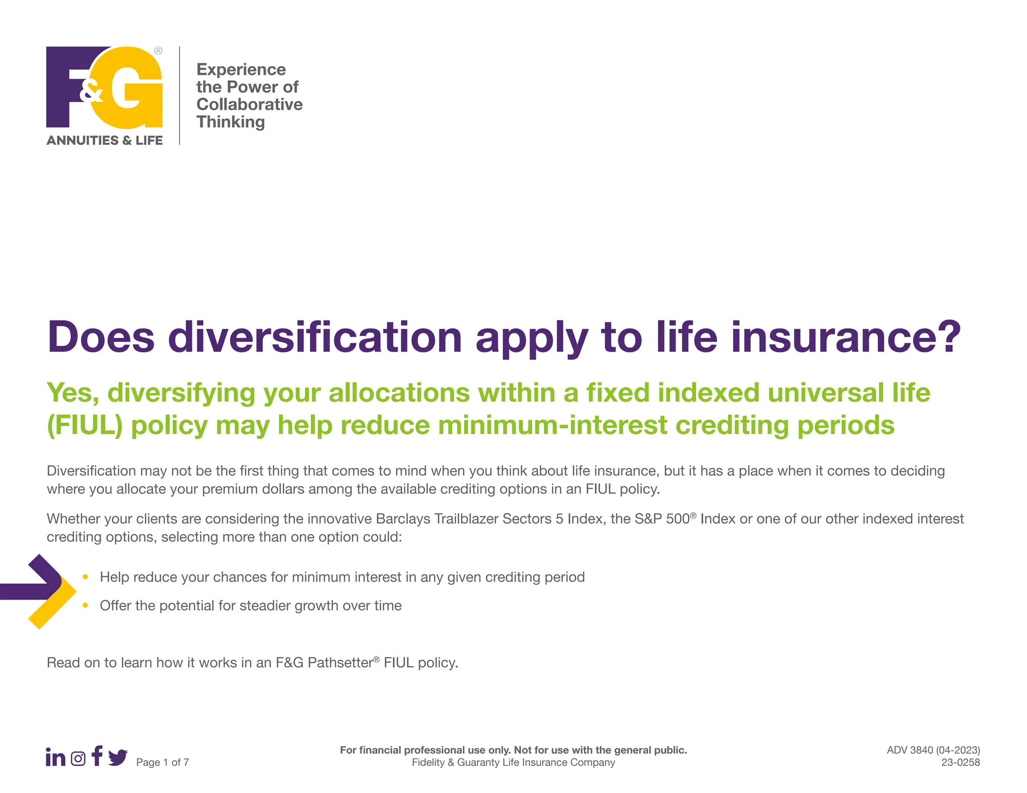 ADV3840 Pathsetter Diversification Brochure.pdf