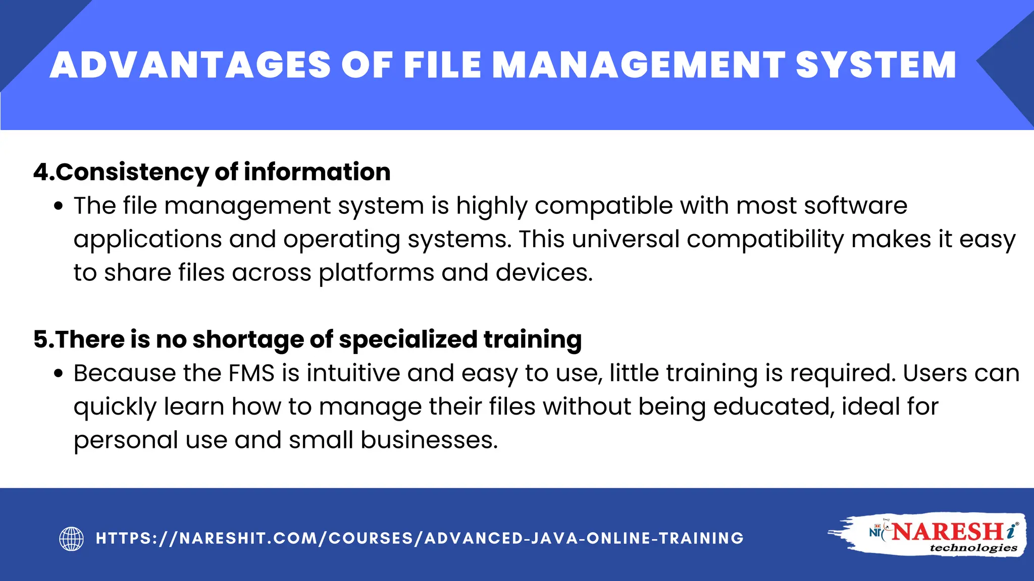 Advantages & Disadvantages of File Management System | PDF