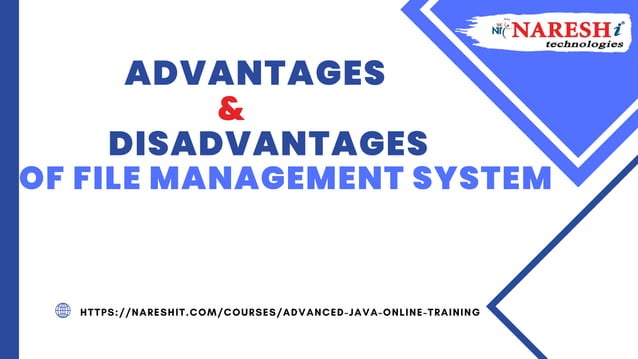 Advantages & Disadvantages of File Management System | PDF | Operating ...