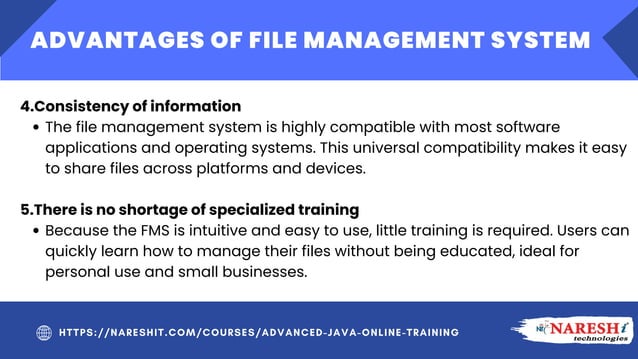 Advantages & Disadvantages of File Management System | PDF | Operating Systems | Computer ...