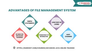 Advantages & Disadvantages of File Management System | PDF