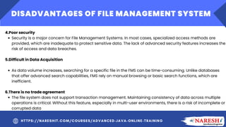 Advantages & Disadvantages of File Management System | PDF
