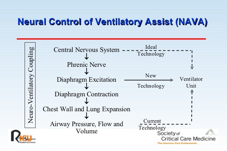 Advanced Mechanical Ventilation