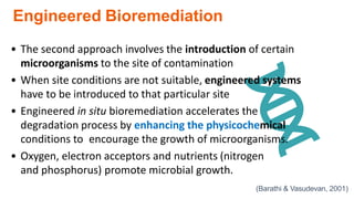 Advanced-Microorganism-remediation process.pdf