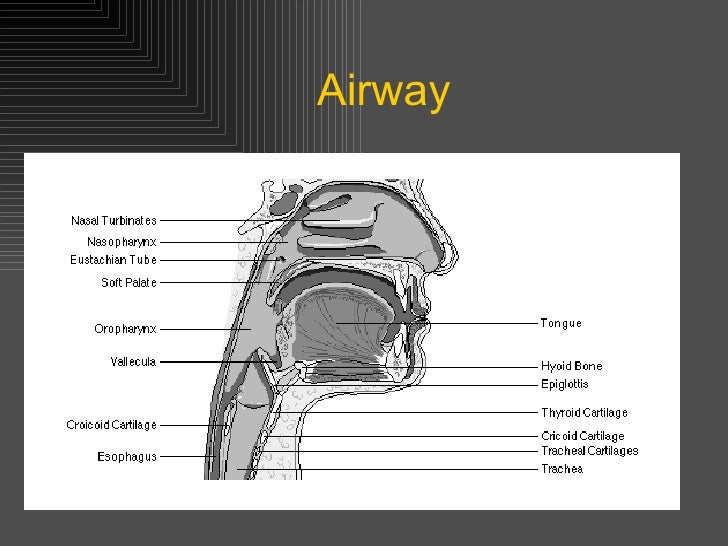 Advanced airway management