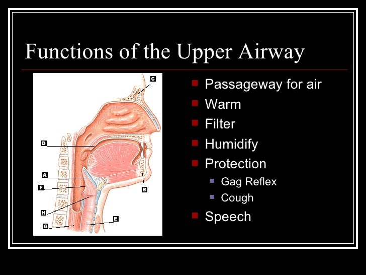 Advanced Airway Management 1