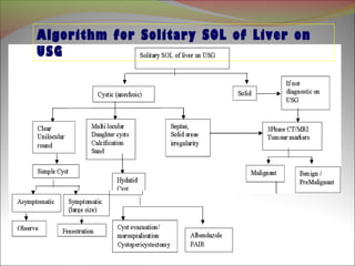Advanced and laparoscopic liver, bile duct and pancreatic surgery | PPT