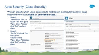 Advanced Apex Security Expert Tips and Best Practices (1).pptx