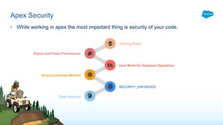 Advanced Apex Security Expert Tips and Best Practices (1).pptx