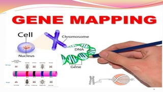 Recommended DNA Technology | PPT