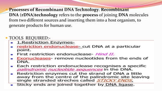 Recommended DNA Technology | PPT