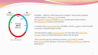 Recommended DNA Technology | PPT