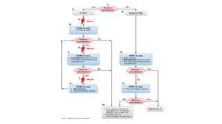 ADVANCED CARDIAC LIFE SUPPORT (ACLS).pdf