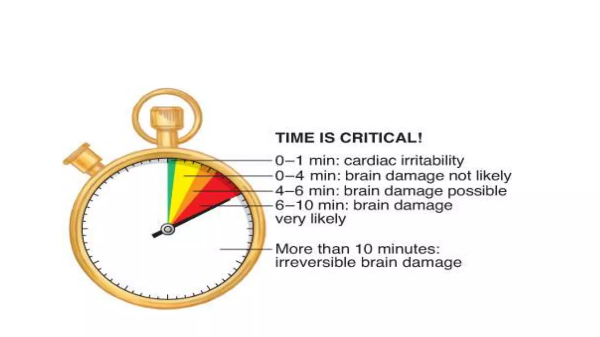 Advanced Cardiovascular Life Support (ACLS).pptx