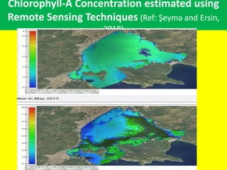 Advanced Chlorophyll estimation techniques in Aquatic Ecosystem ...