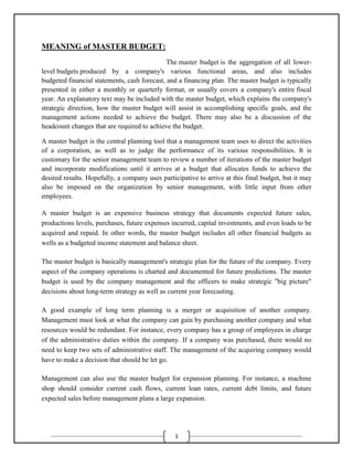 MASTER BUDGET | DOCX