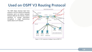 Advanced Design and Optimization of Data Center Interconnection Networks.pptx