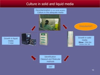 Advanced diagnostics of tuberculosis 21 3-15 | PPT